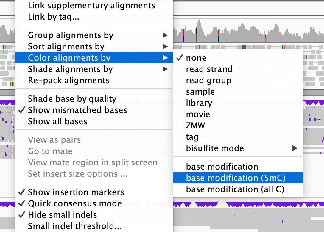 DNA modifications | MSc Genomic Medicine CM4 module